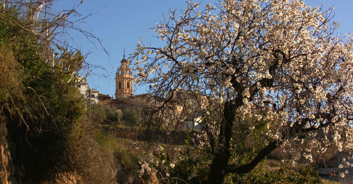 Mónica García i la preposició 'vora' - Apunts de Llengua