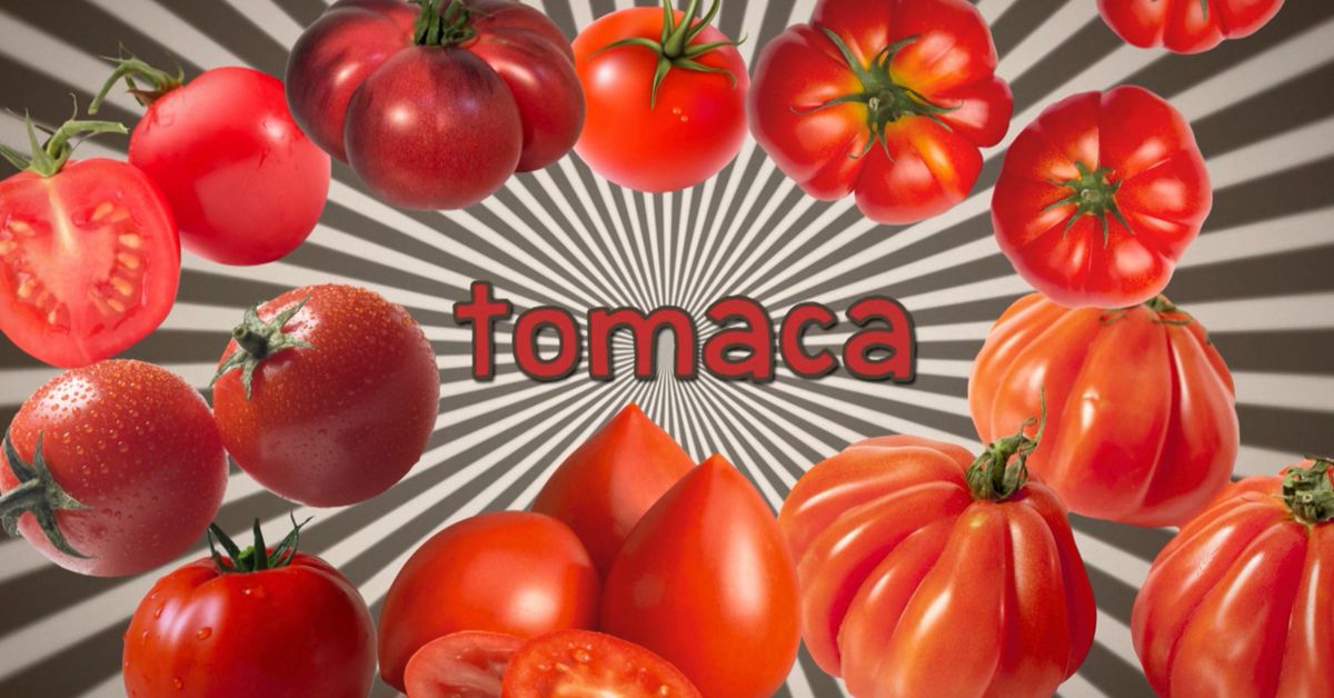 Com es diu, 'tomaca' o 'tomata'? - Apunts de Llengua