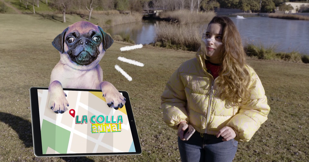 La Colla Animal | On estic? - La Colla