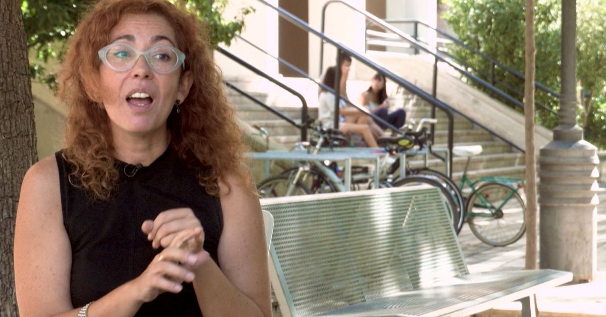 Com qui no vol la cosa t’ensenyem el verb 'voler' - Apunts de Llengua