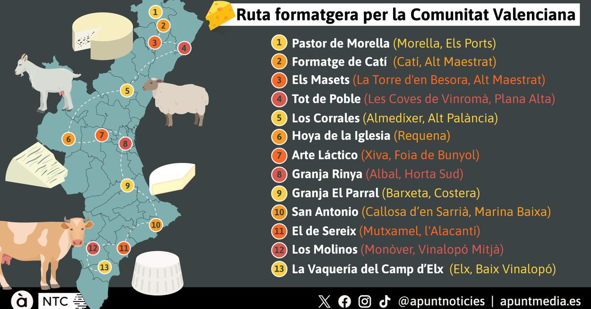 Dia del Formatge: on podem tastar-ne els més tradicionals de la ...