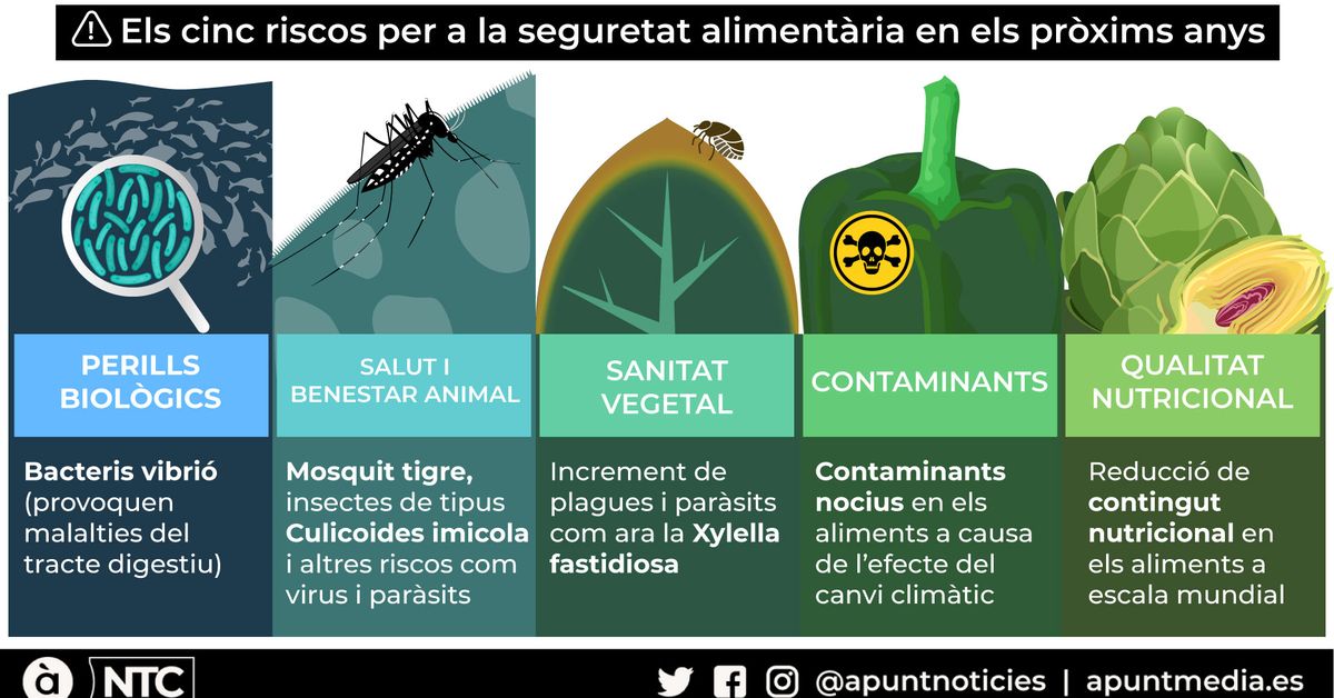 Els cinc riscos per a la seguretat alimentària en els pròxims anys - À Punt