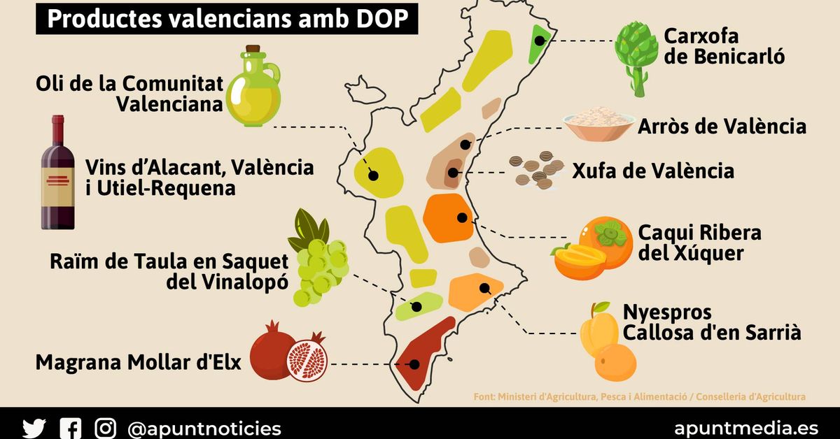 De la Carxofa de Benicarló als vins d’Utiel-Requena: així és el mapa de ...