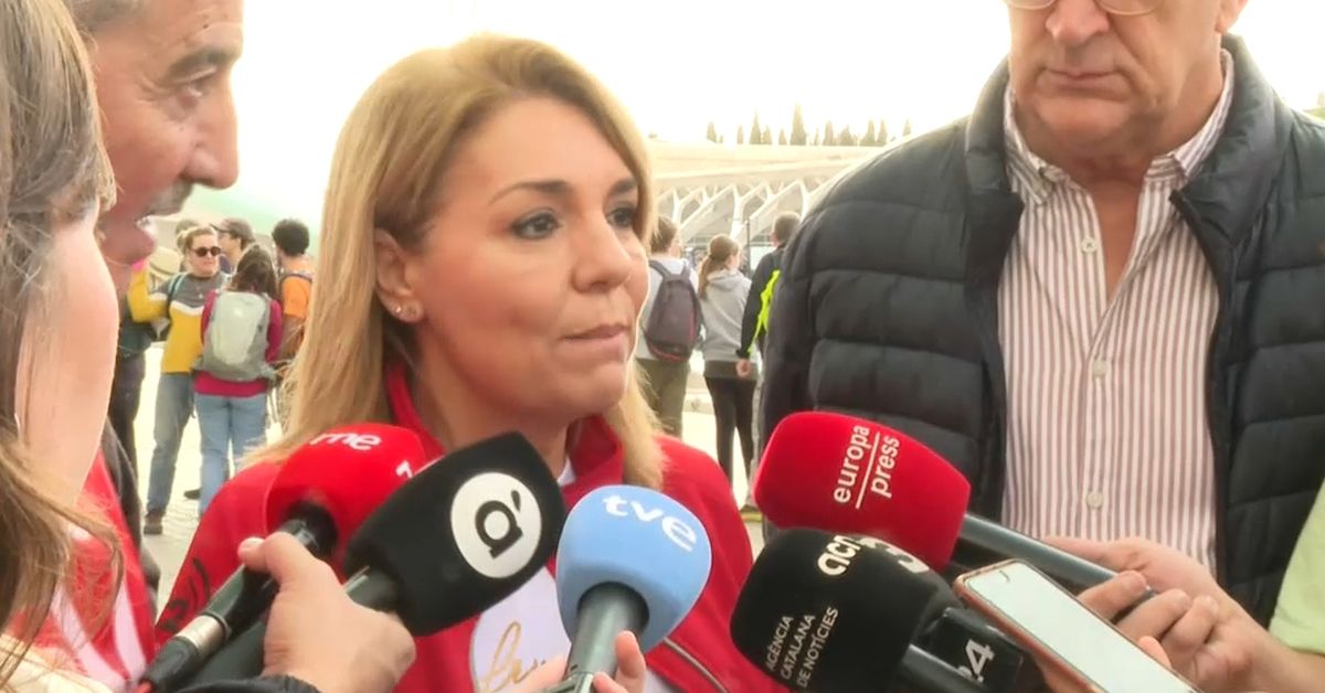 Camarero avança que diumenge tornaran a eixir voluntaris des de la ...